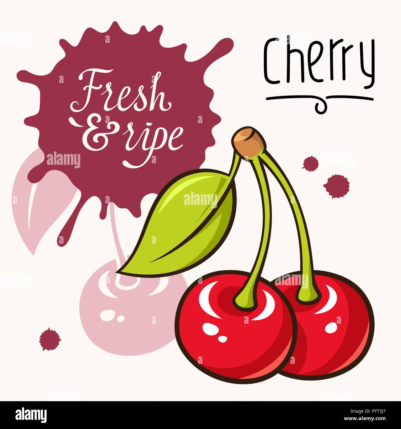 Vector illustration of ripe juicy cherry. Concept for the Farmers ...