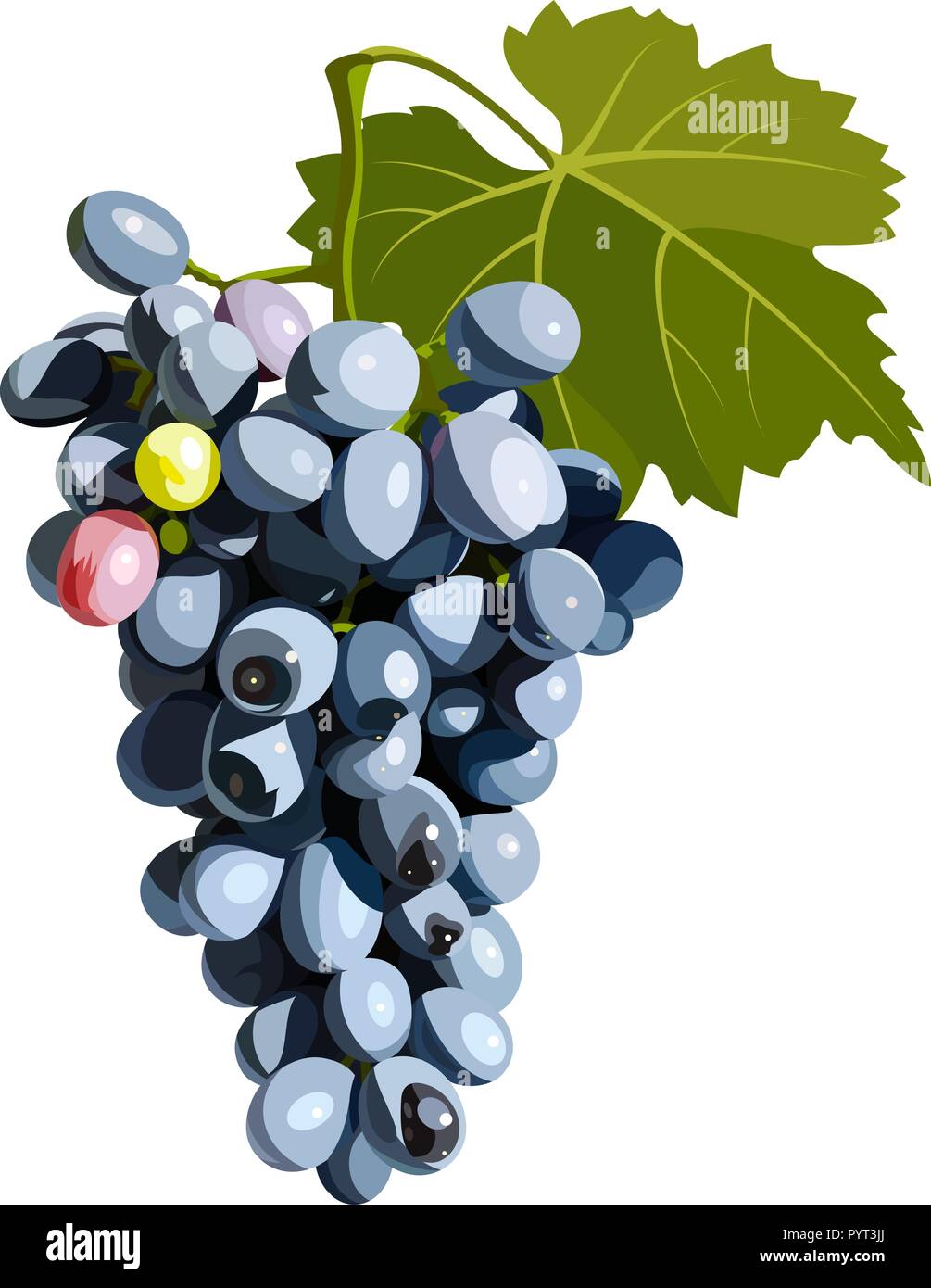 Winery garden Stock Vector Images - Alamy