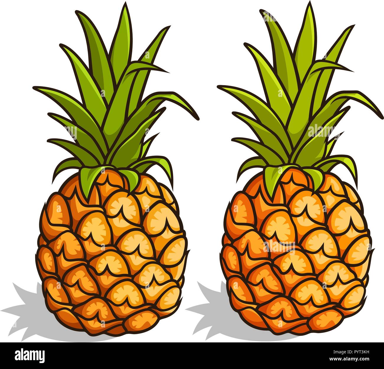 Pineapple Vector