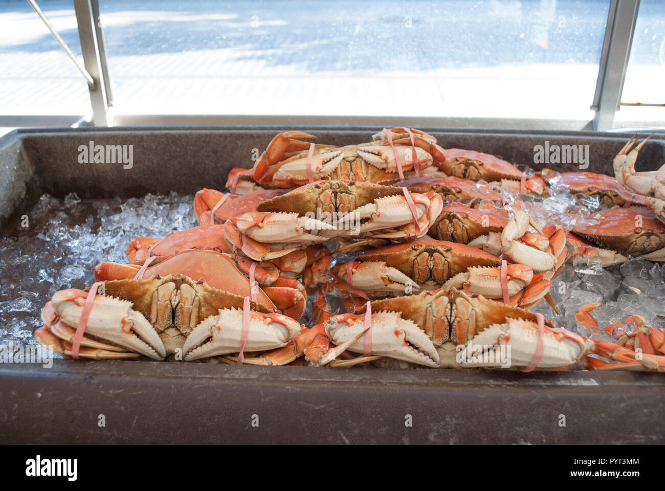 Jumbo crabs hi-res stock photography and images - Alamy