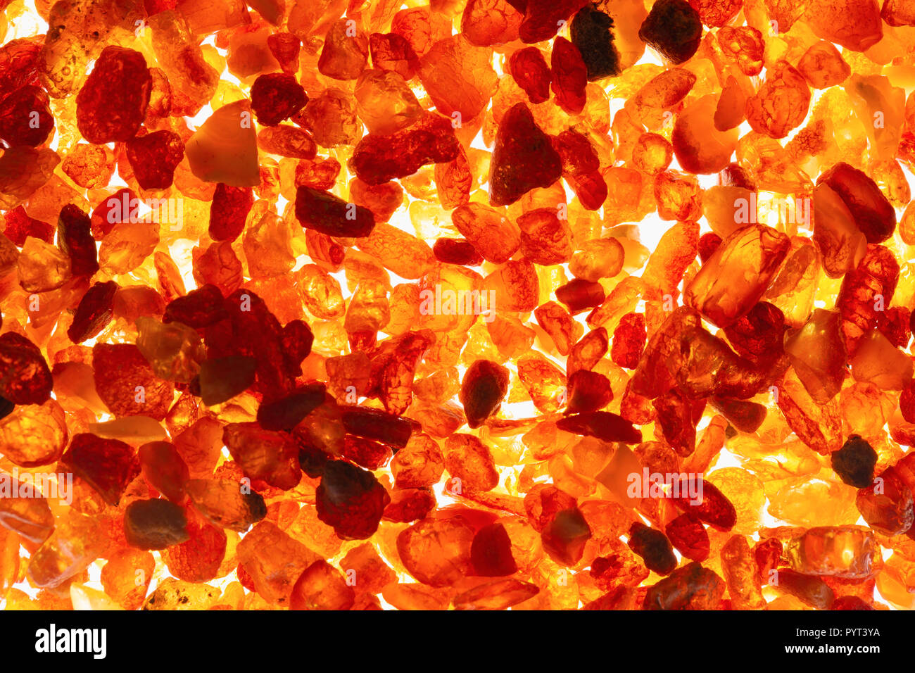Petrified resin hi-res stock photography and images - Alamy