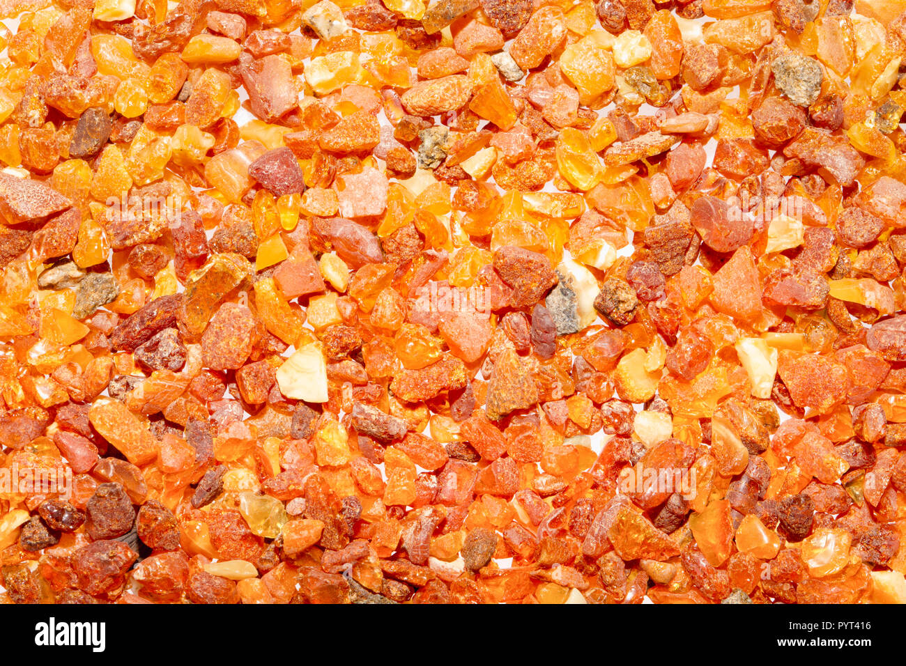 Petrified resin hi-res stock photography and images - Alamy