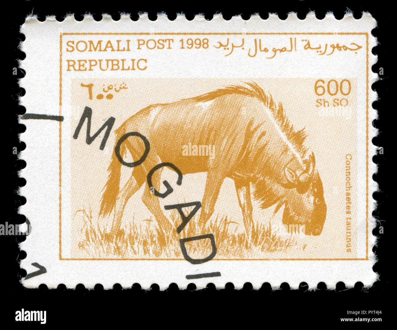 Postmarked stamp from Somalia in the Cinderella series issued in 1998 ...