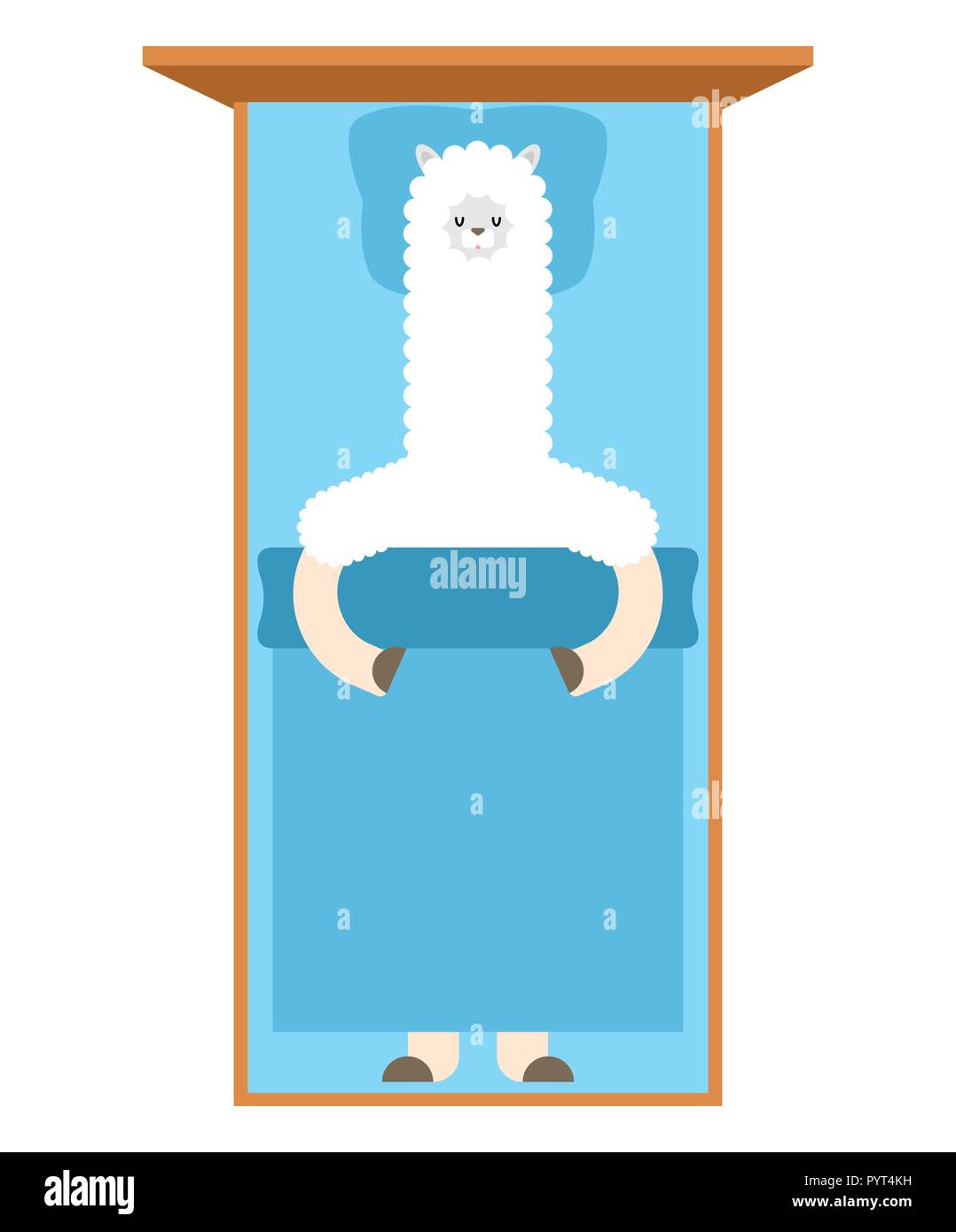 Llama Sleeping in bed. Lama Cute animal alpaca. cartoon vector Stock ...