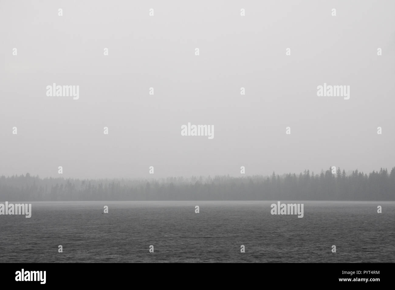 Heavy rain splashing in lake surface background Stock Photo - Alamy