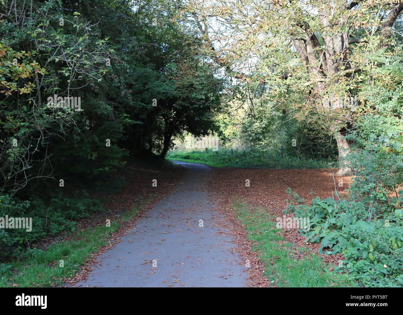 Mote Park , Maidstone , Kent Stock Photo - Alamy