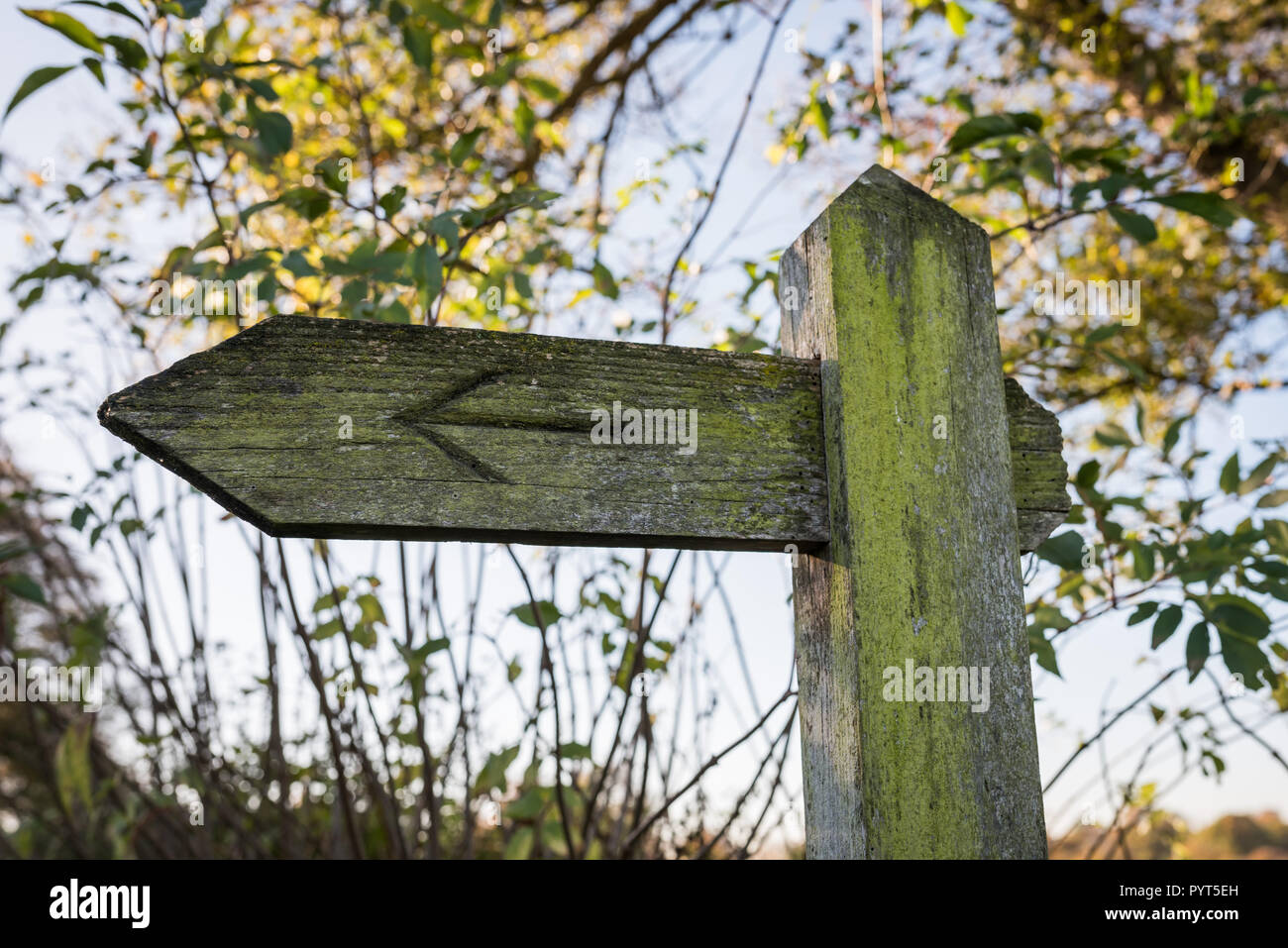 Wooden footpath sign, arrow pointing the way Stock Photo - Alamy