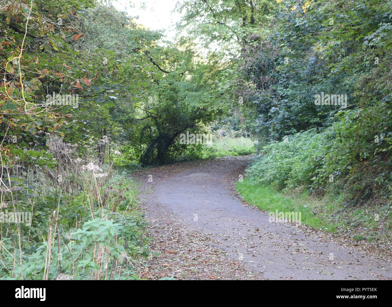 Mote Park , Maidstone , Kent Stock Photo - Alamy