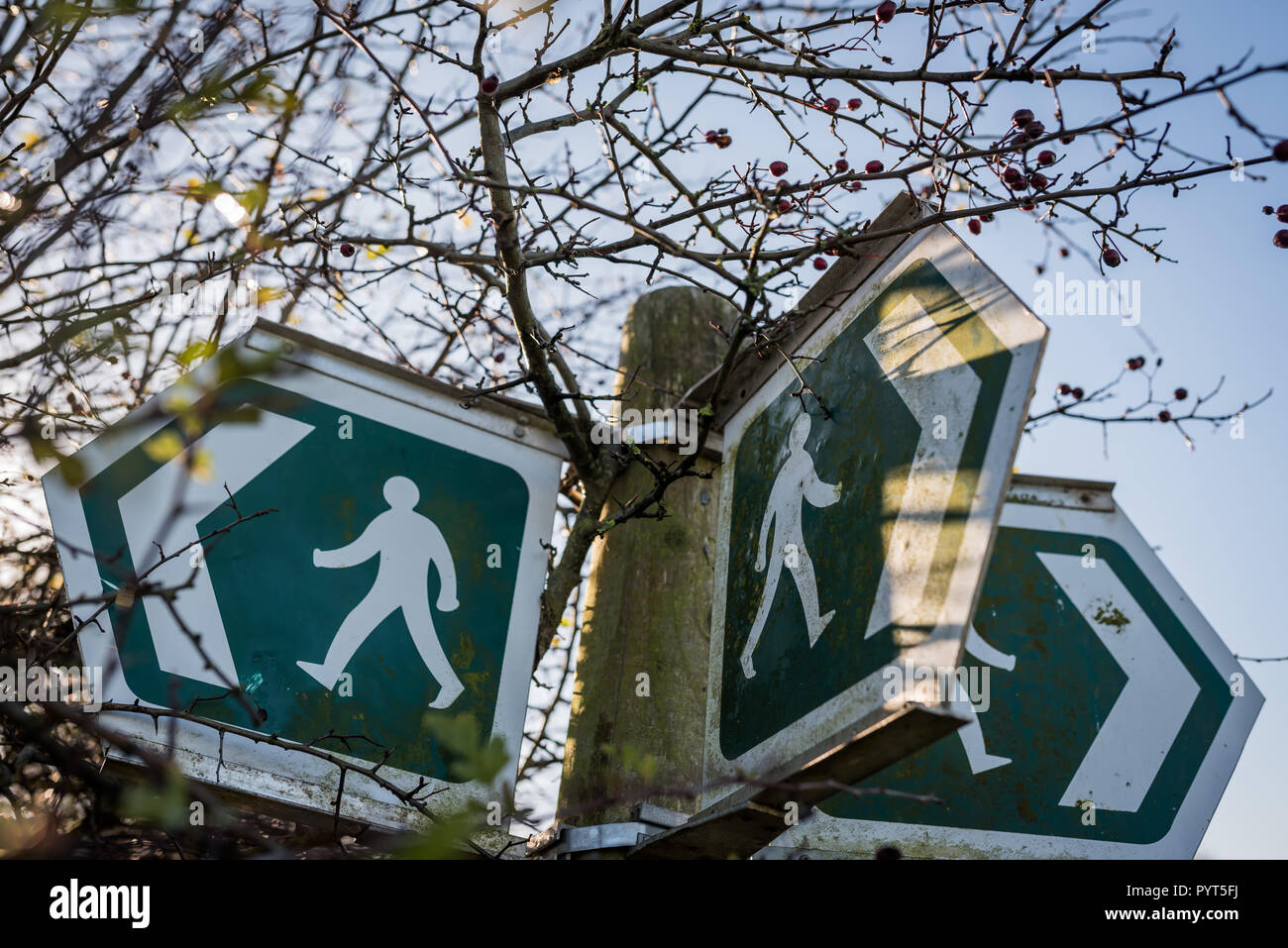 Footpath signs pointing in different directions Stock Photo - Alamy