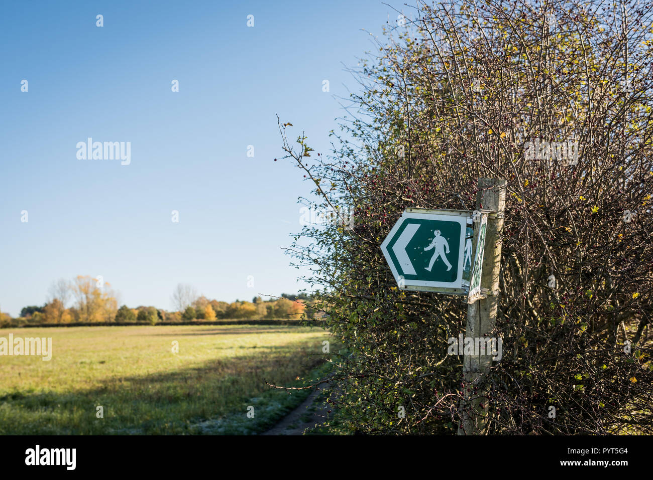 Footpath sign with field in sunshine in the background Stock Photo - Alamy