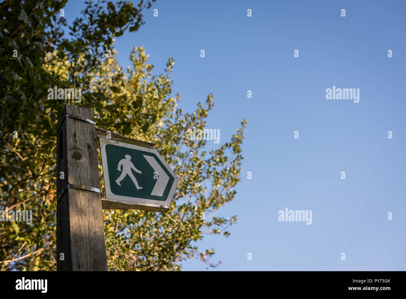 Footpath sign against tree in bright sunshine with blue sky behind ...