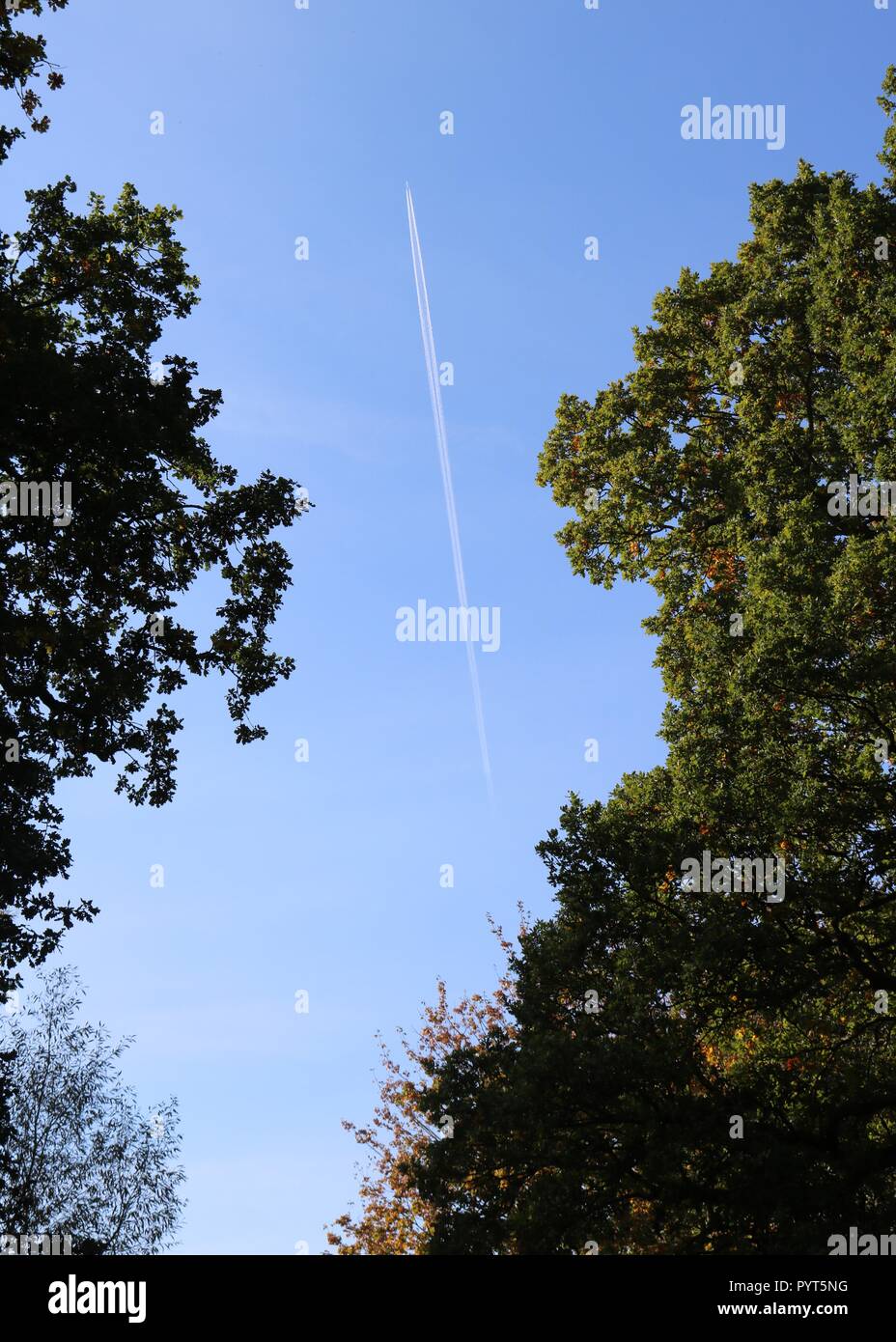 Mote Park , Maidstone , Kent Stock Photo - Alamy