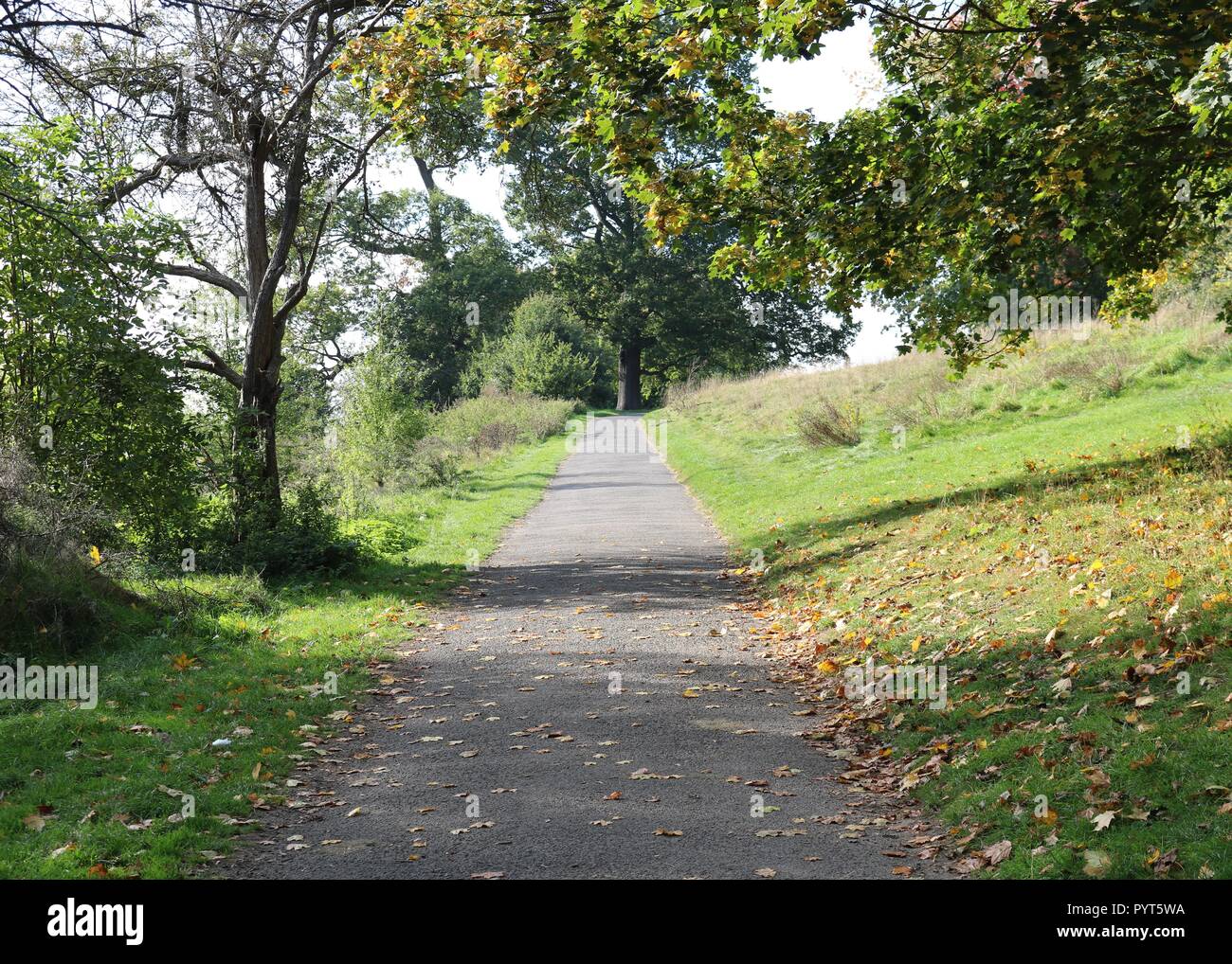 Mote Park , Maidstone , Kent Stock Photo - Alamy