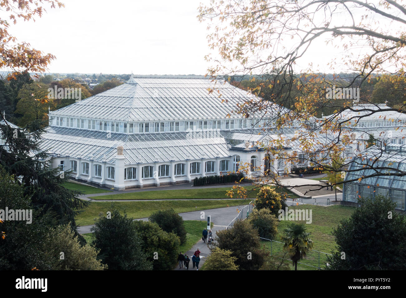 The newly reopened and refurbished Temperate House at Kew Gardens Stock ...
