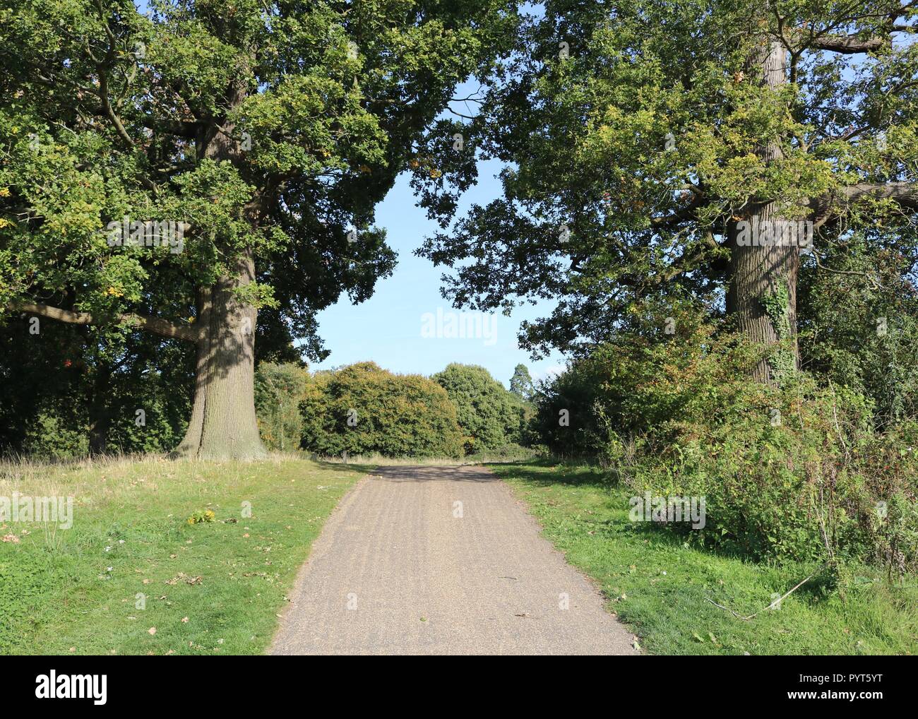 Mote Park , Maidstone , Kent Stock Photo - Alamy