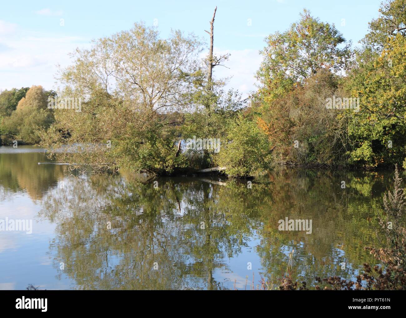 Mote Park , Maidstone , Kent Stock Photo - Alamy
