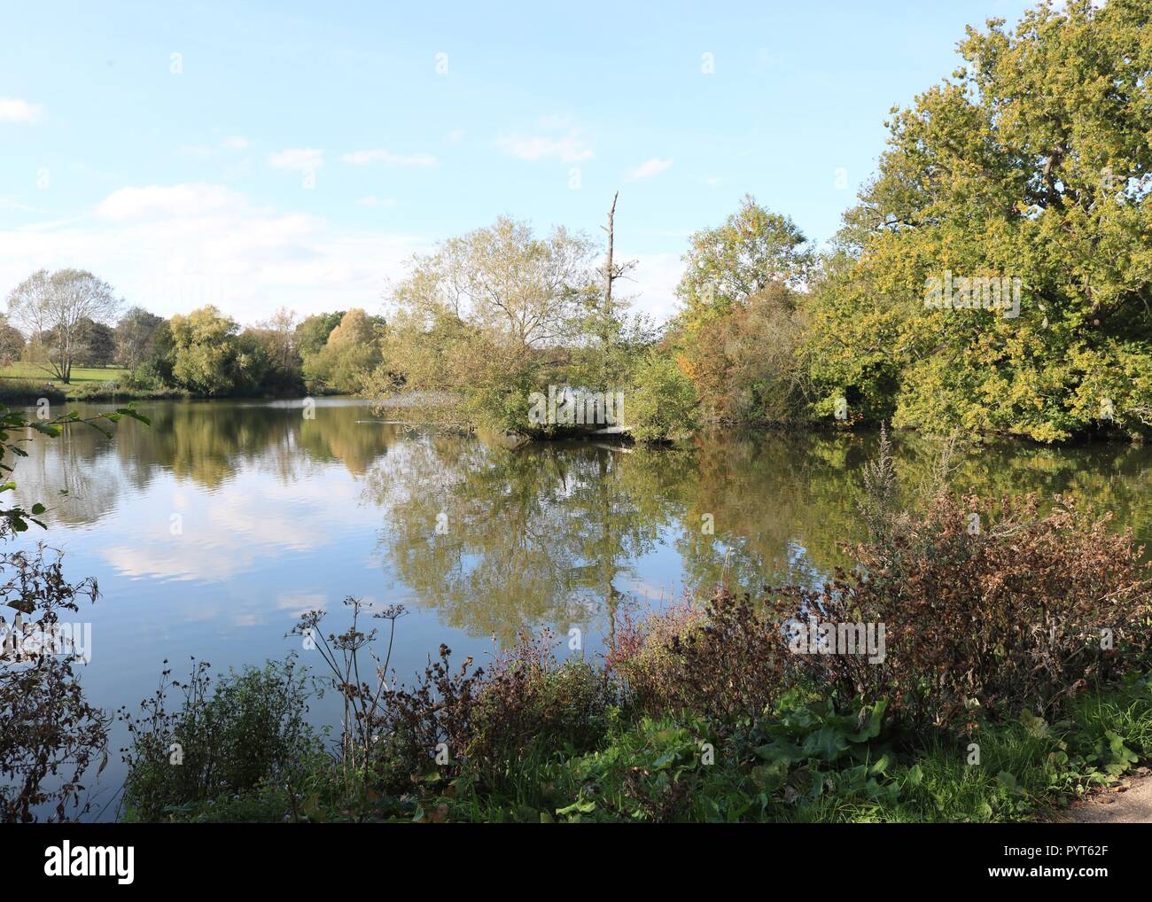 Mote Park , Maidstone , Kent Stock Photo - Alamy
