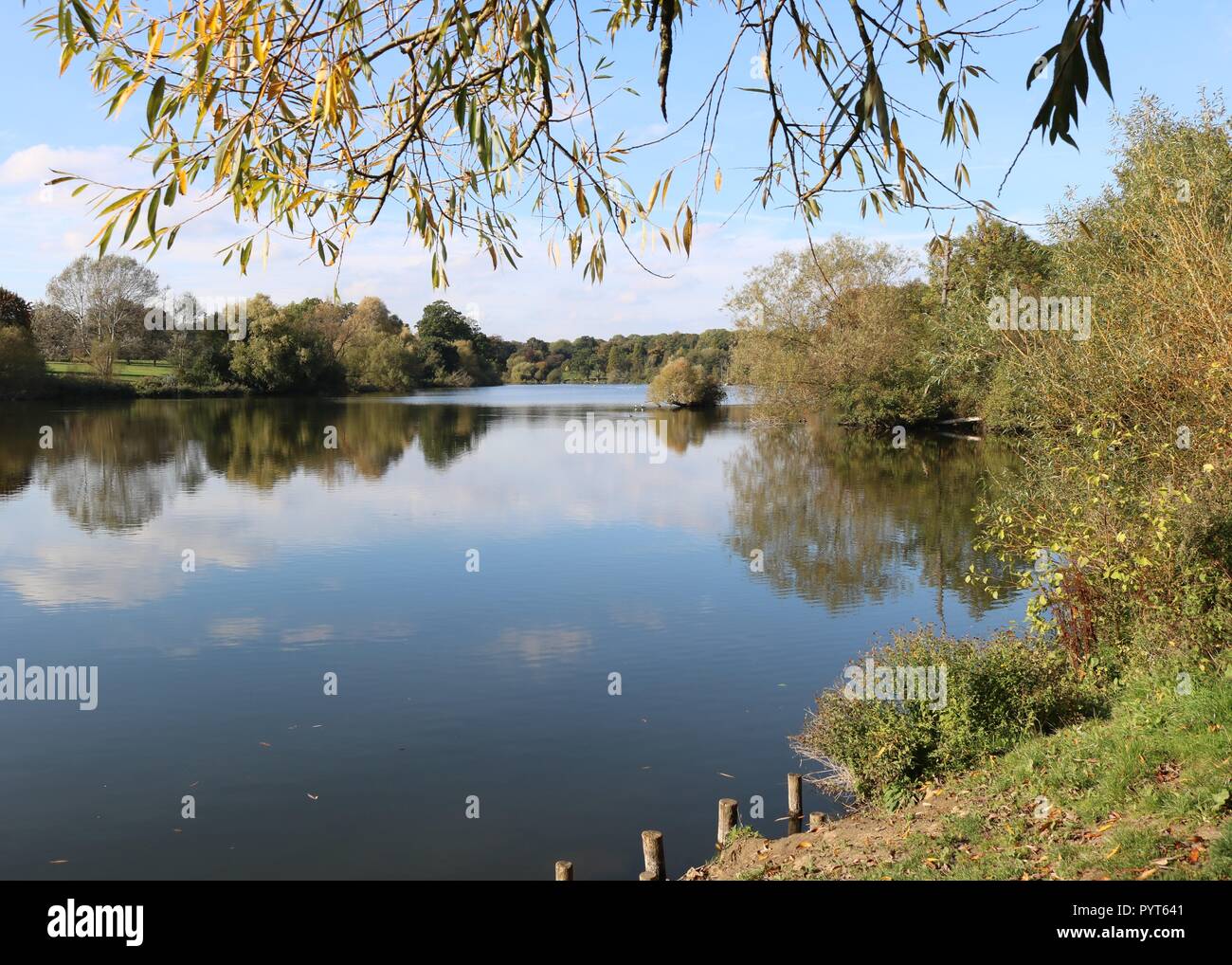 Mote Park , Maidstone , Kent Stock Photo - Alamy