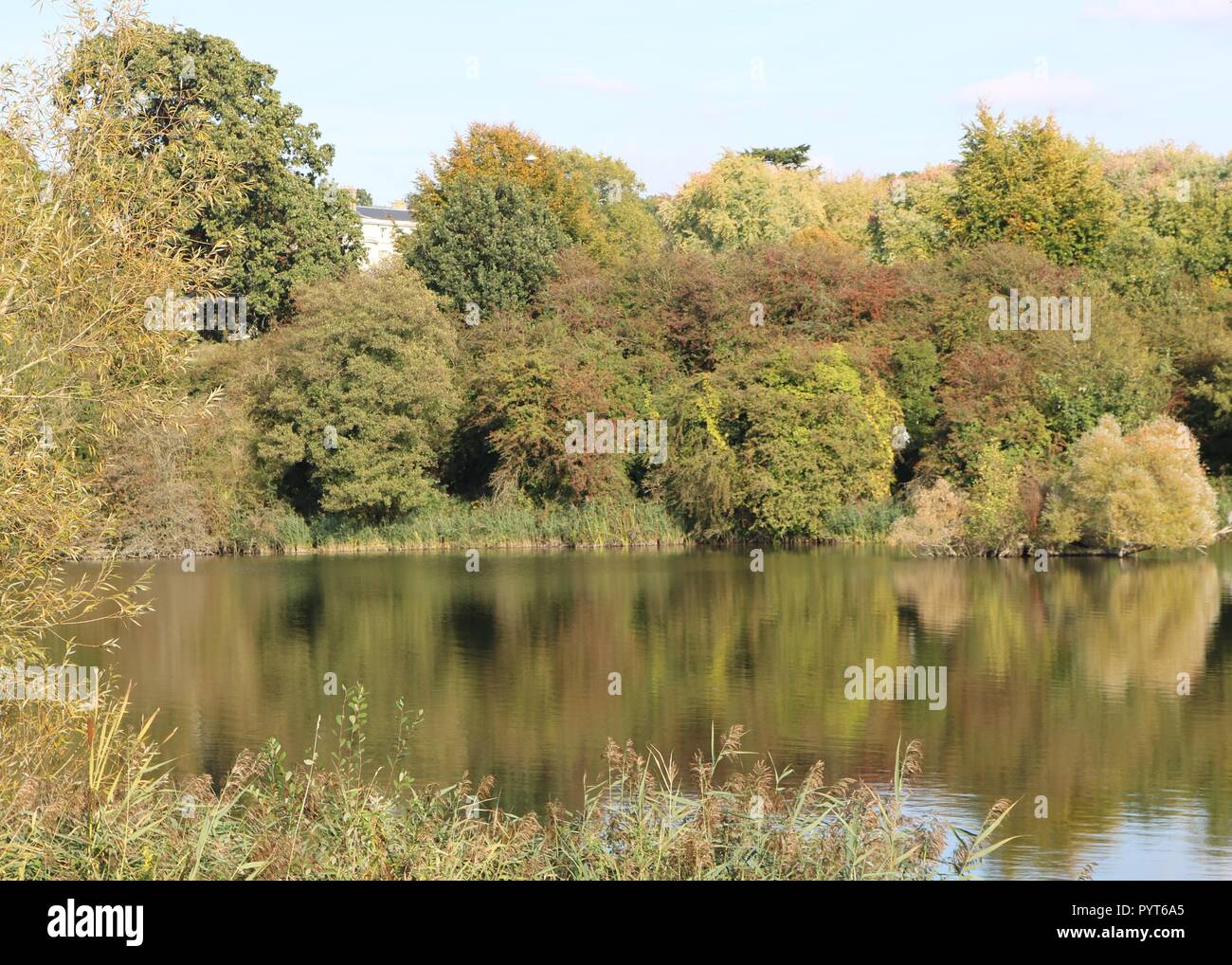 Mote Park , Maidstone , Kent Stock Photo - Alamy