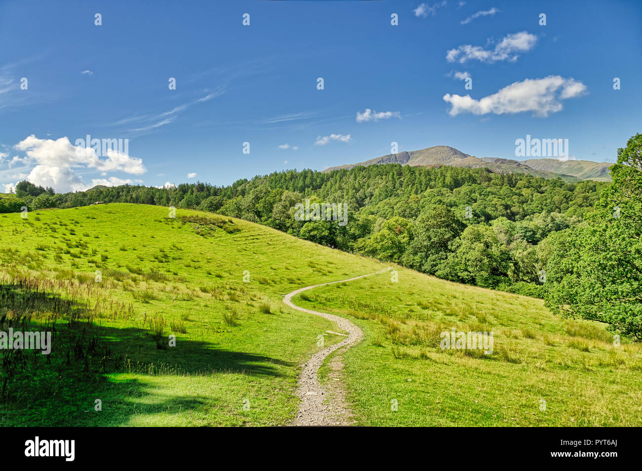 Winding track leading hi-res stock photography and images - Alamy
