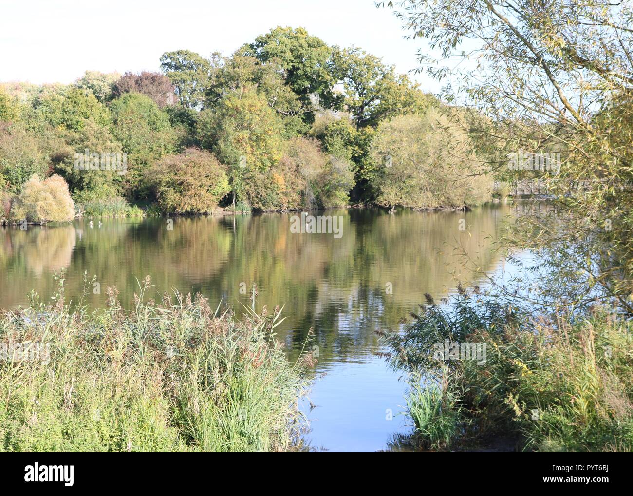 Mote Park , Maidstone , Kent Stock Photo - Alamy
