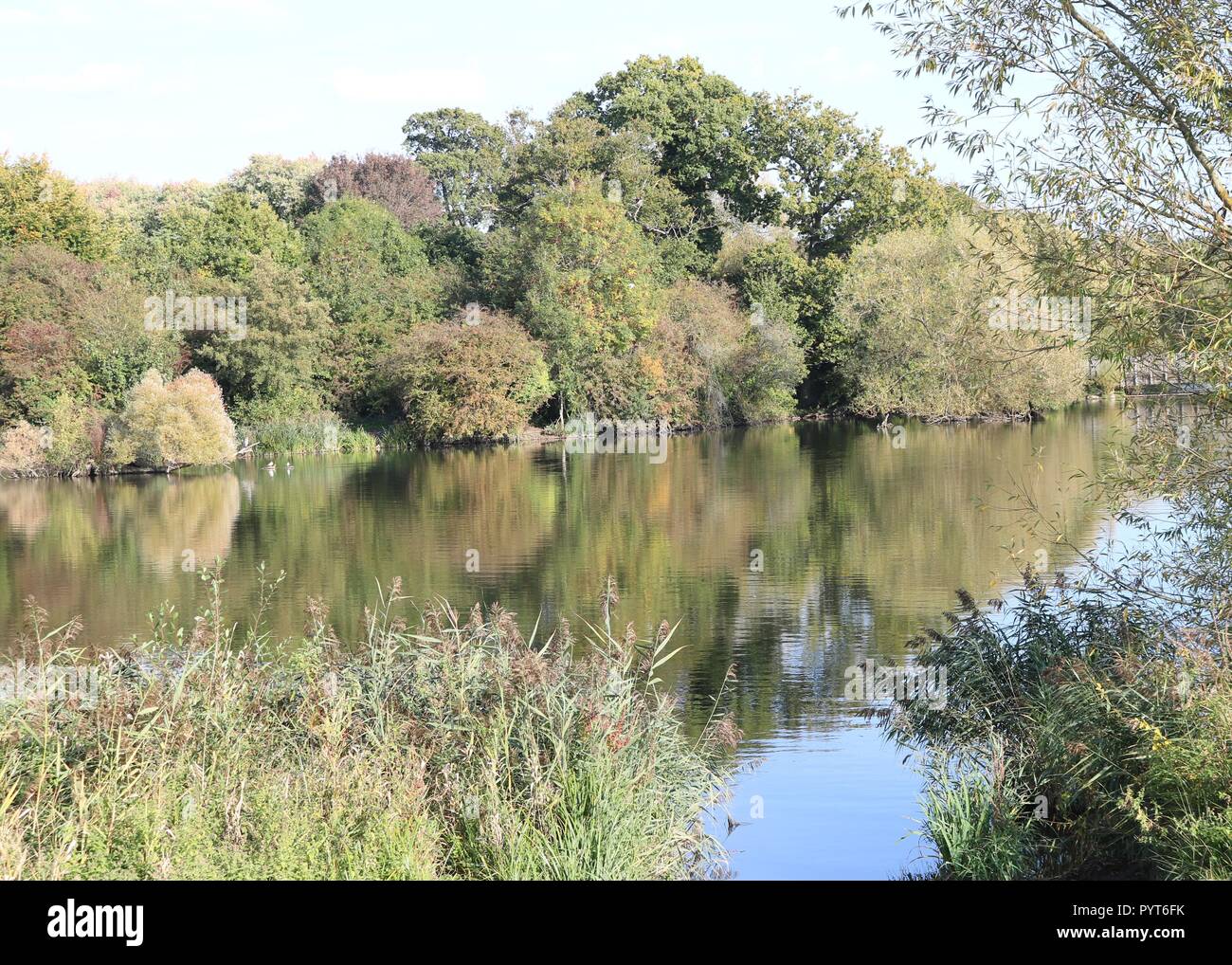 Mote Park , Maidstone , Kent Stock Photo - Alamy
