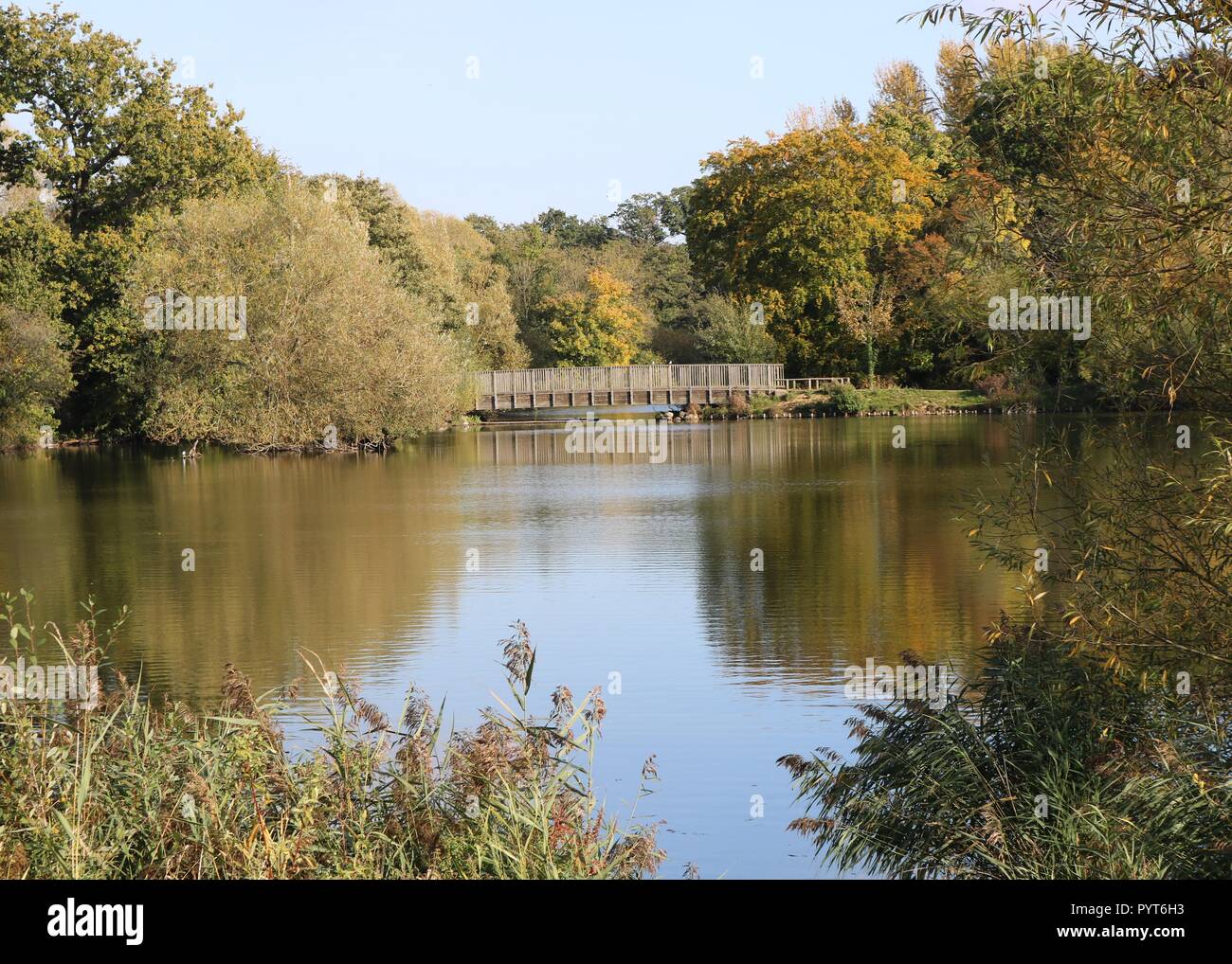 Park wood maidstone hi-res stock photography and images - Alamy
