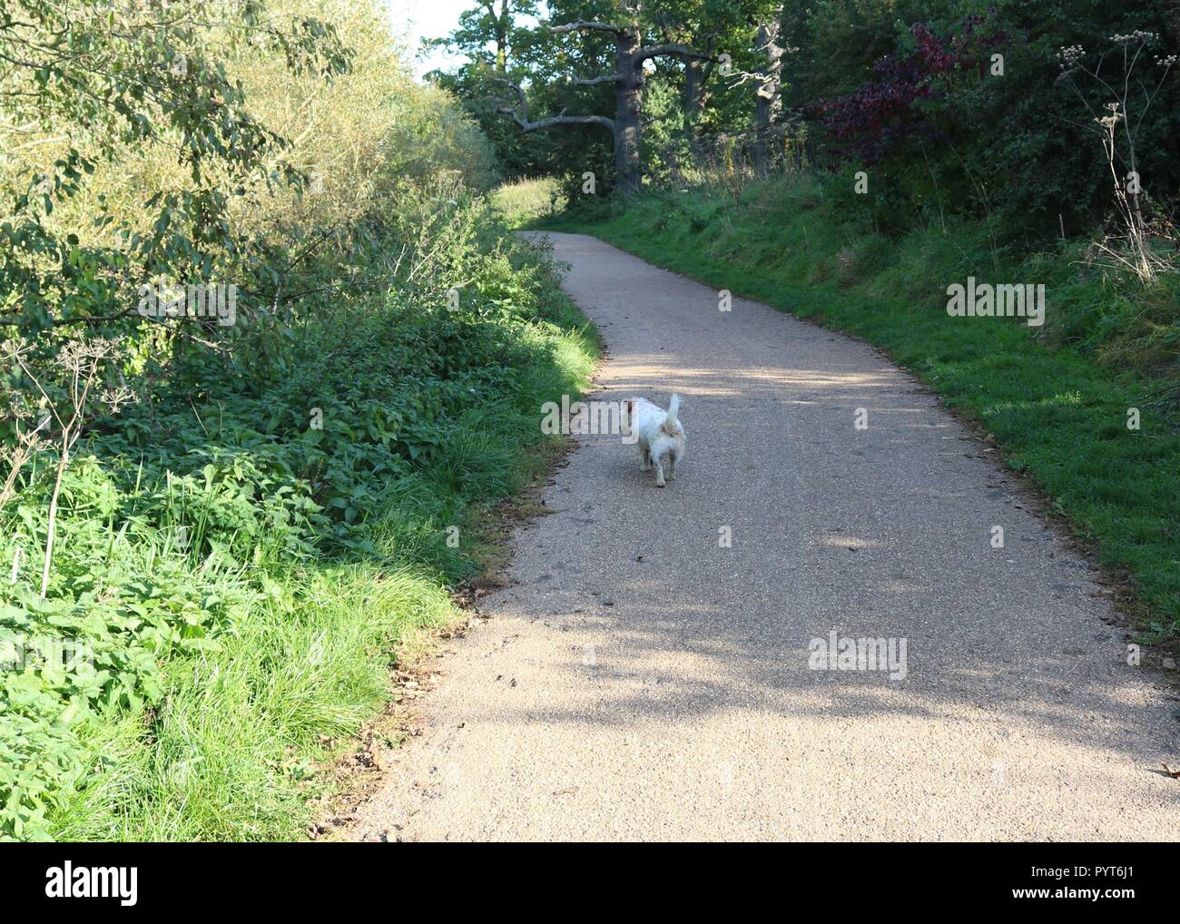 Mote Park , Maidstone , Kent Stock Photo - Alamy