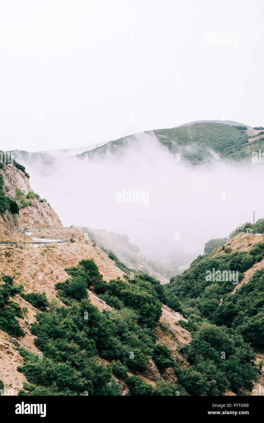 Foggy trees hills mountain forest hi-res stock photography and images ...