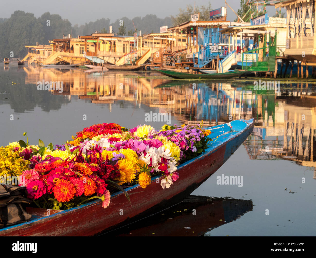 Dal lake flower market hi-res stock photography and images - Alamy
