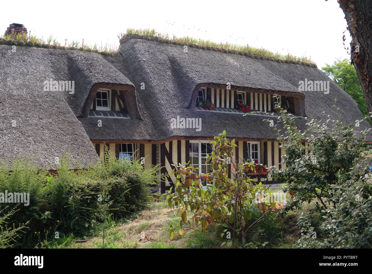 charming thatched cottage near Honfleur, Normandy France Stock Photo ...
