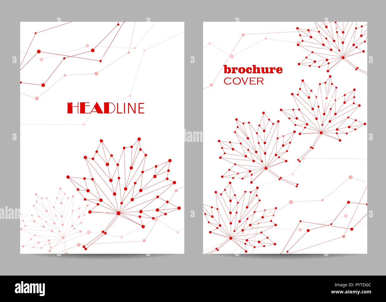 Brochure Template Layout Design Abstract Geometric Background With Connected Lines And Dots