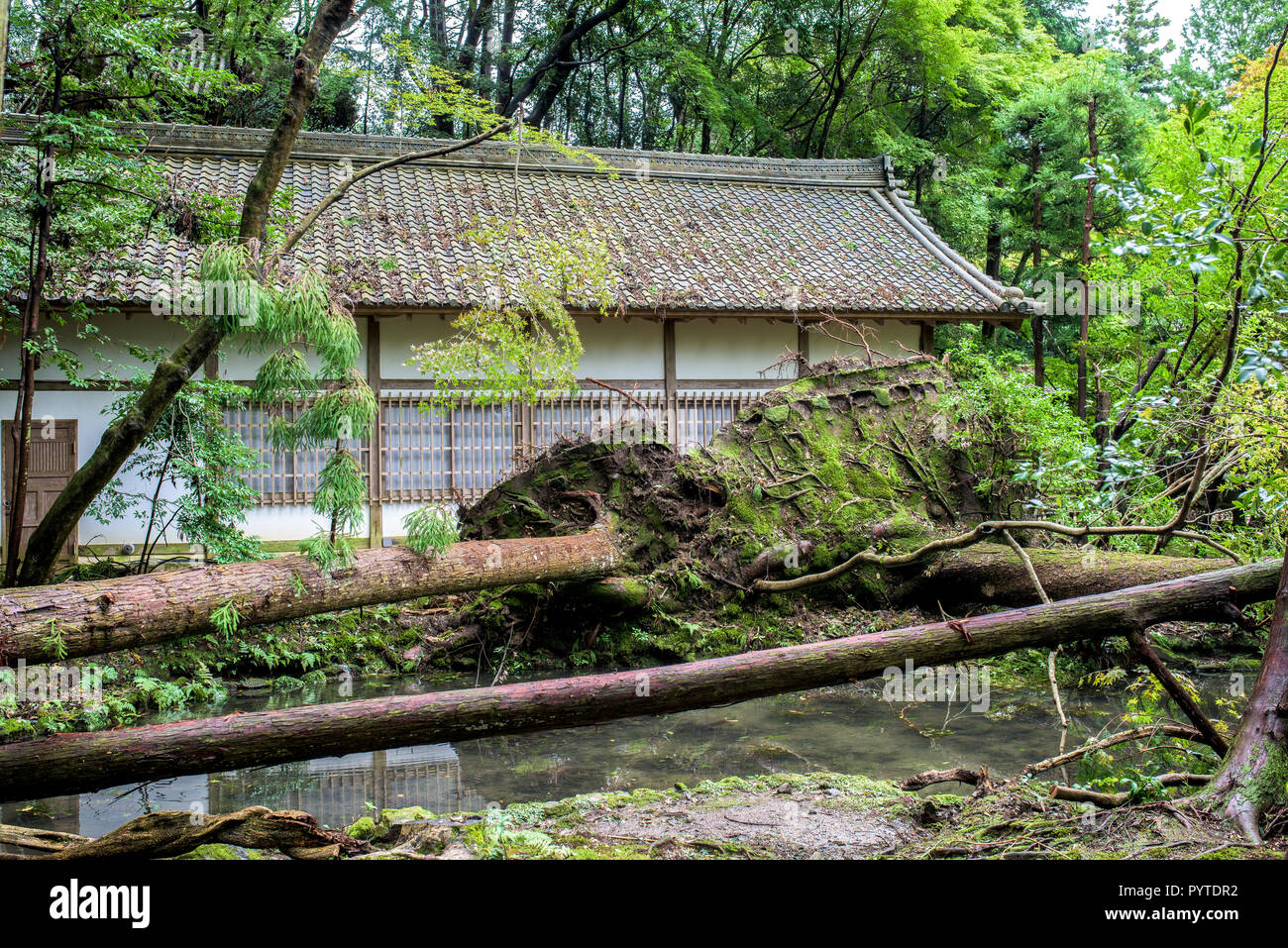 Kyoto honen in hi-res stock photography and images - Alamy