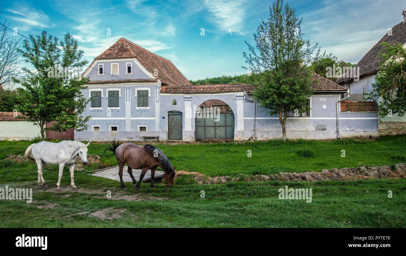 ROMANIA, evening in the small remote village of Viscri, founded by ...