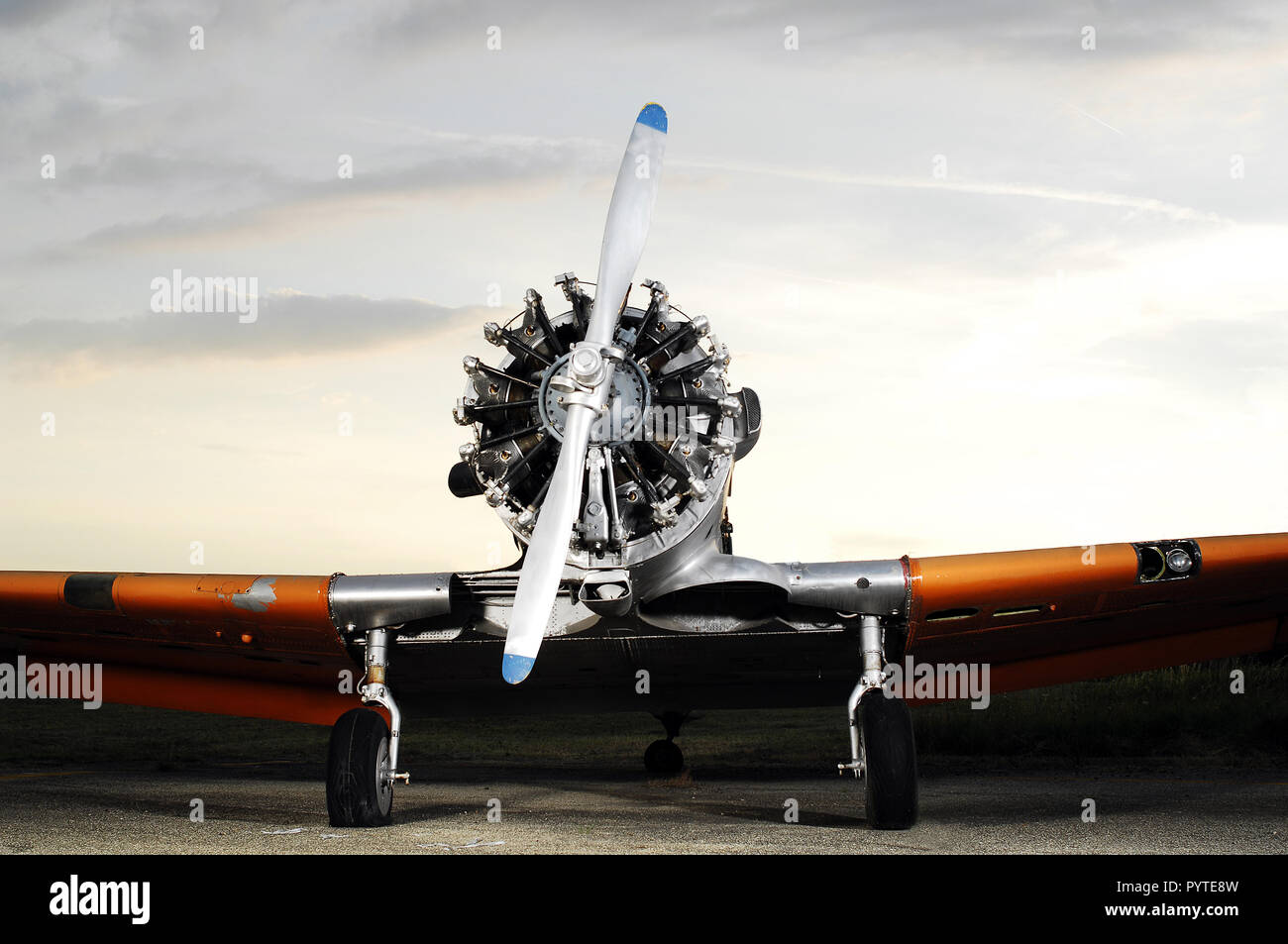 World war ii t 6 texan hi-res stock photography and images - Alamy