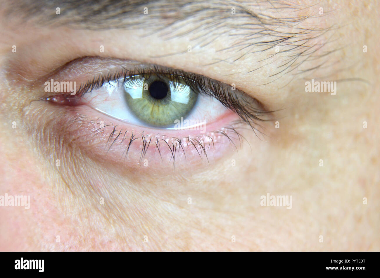 Human eye showing retina hi-res stock photography and images - Alamy
