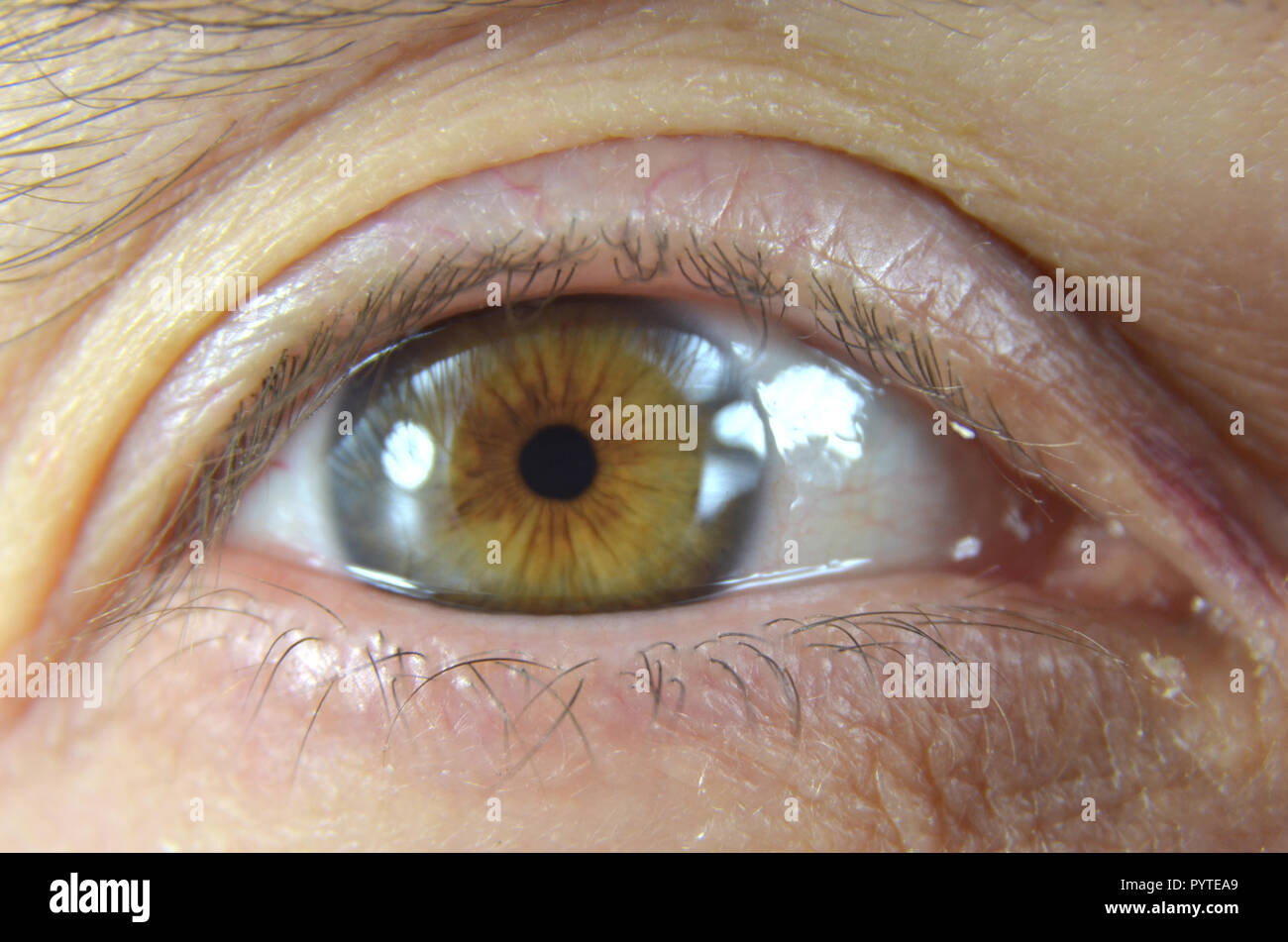 Beautiful womans attention hi-res stock photography and images - Alamy