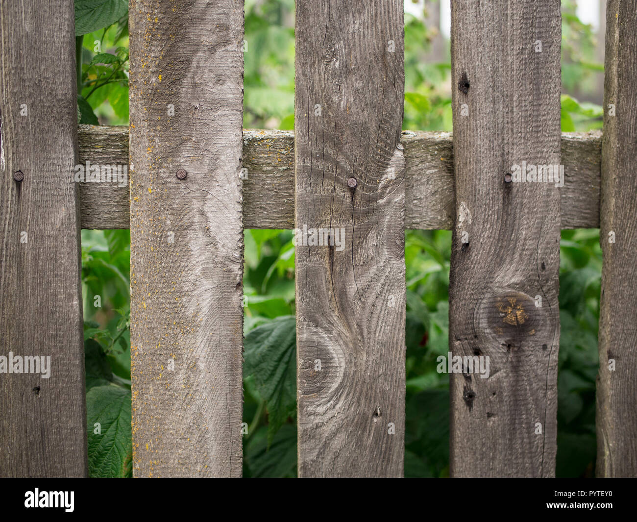 A piece of an old rail fence with blurry, green garden behind Stock ...