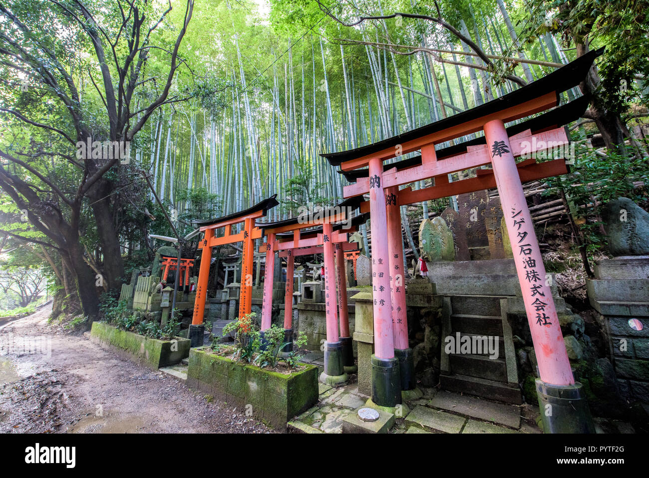 Fushimi Inari gates in Kyoto, Japan Stock Photo - Alamy