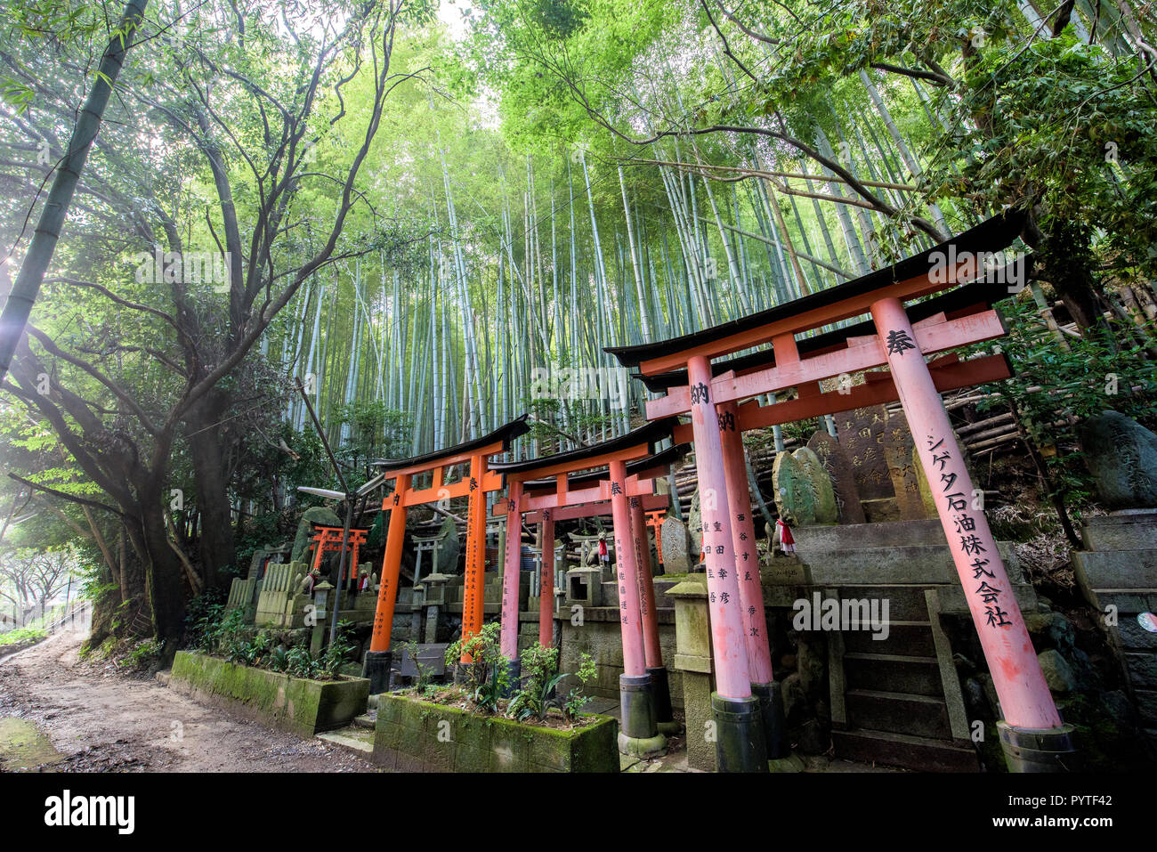Fushimi Inari gates in Kyoto, Japan Stock Photo - Alamy