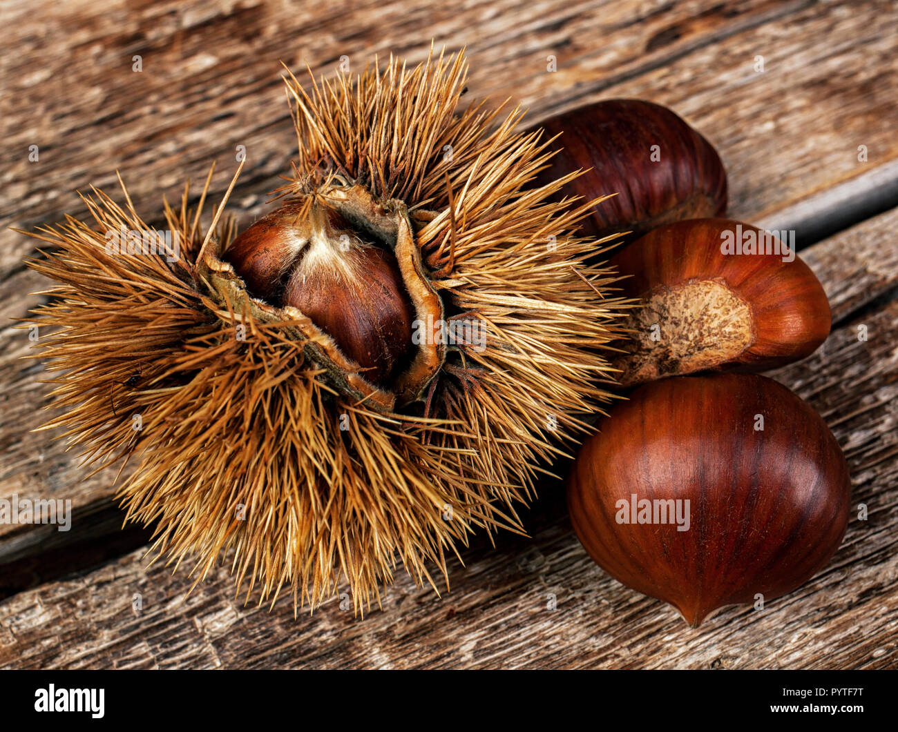 Chestnut wood table hi-res stock photography and images - Alamy