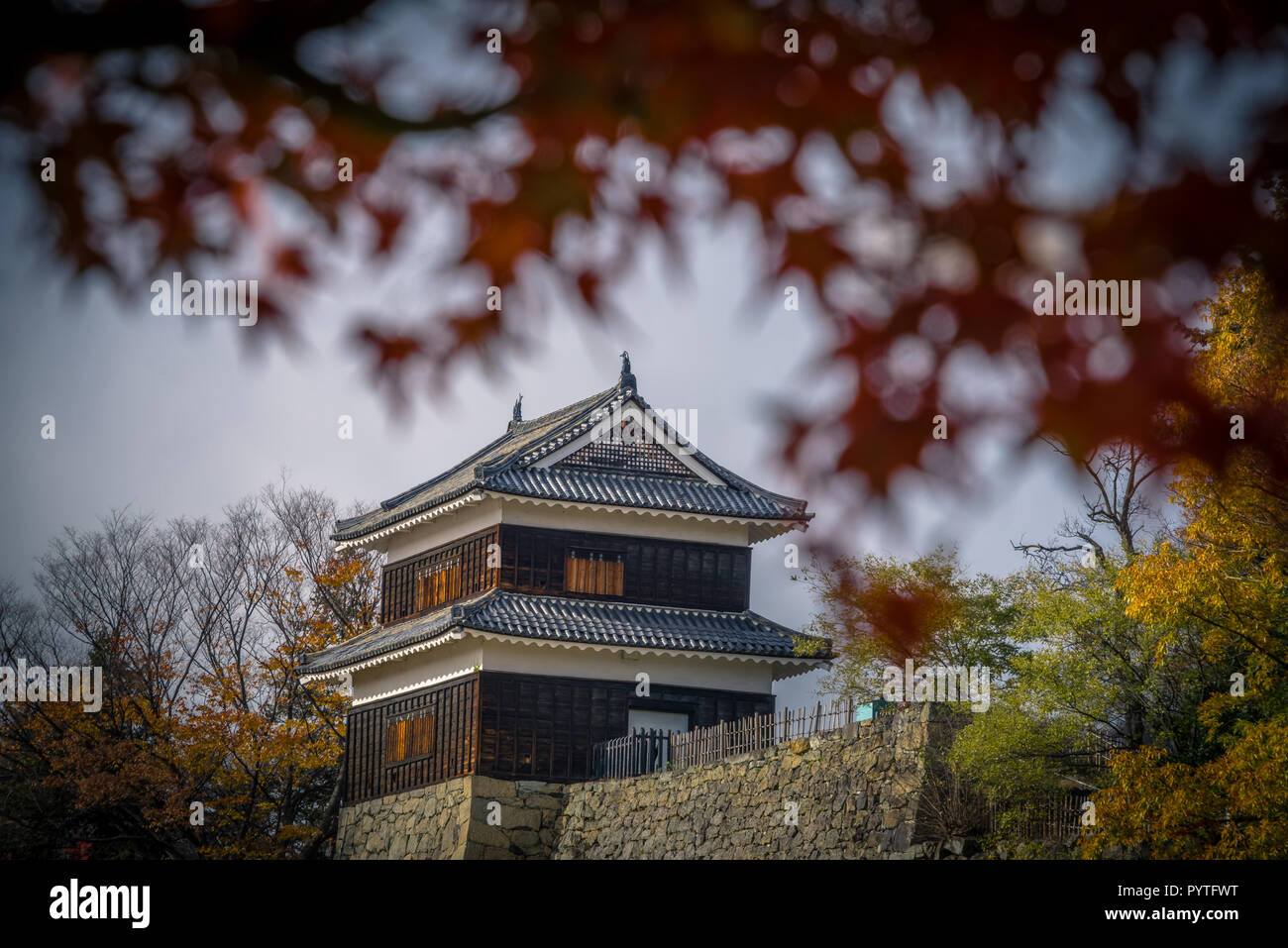 A mix of nature and history at Ueda Castle Stock Photo - Alamy