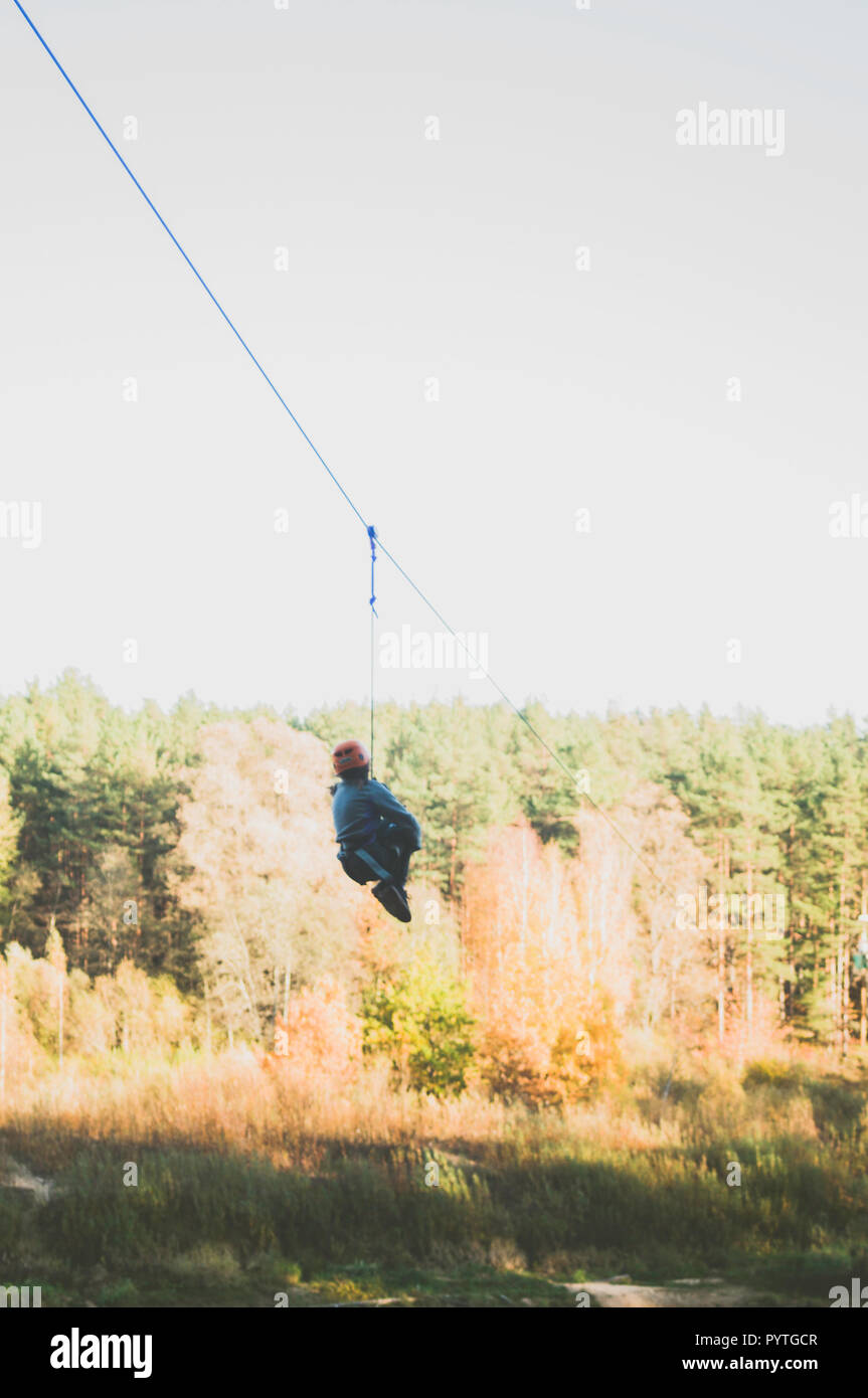 Tree top trail. path in the tress. Active sports. Recreation. Autumn ...