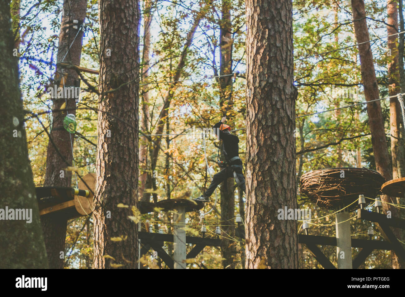 Tree top trail. path in the tress. Active sports. Recreation. Autumn ...