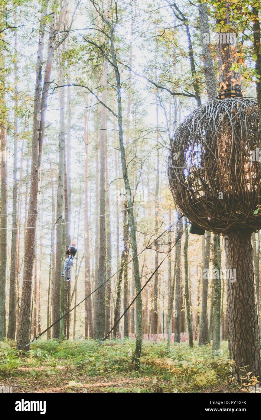 Tree top trail. path in the tress. Active sports. Recreation. Autumn ...