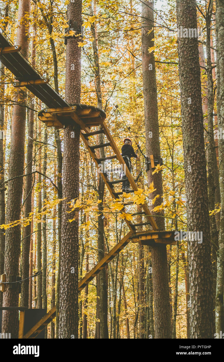 Tree top trail. path in the tress. Active sports. Recreation. Autumn ...