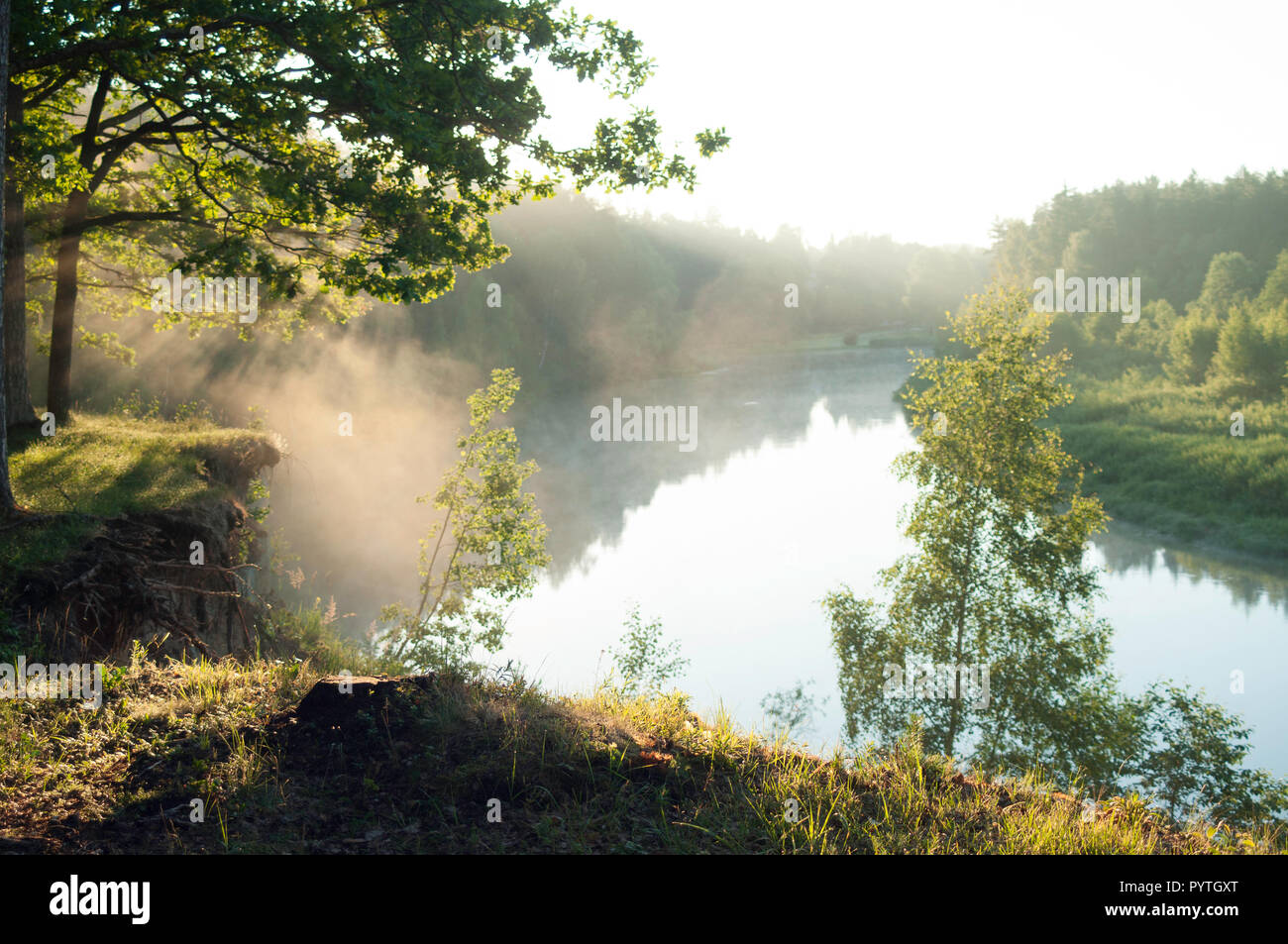 Beautiful sunny morning. White fog lays over the river Stock Photo - Alamy