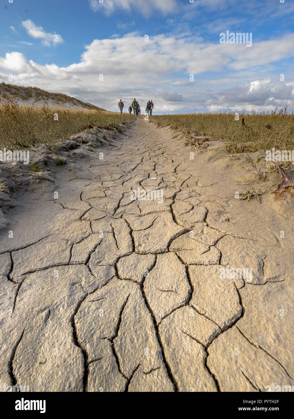 Plain soil hi-res stock photography and images - Alamy