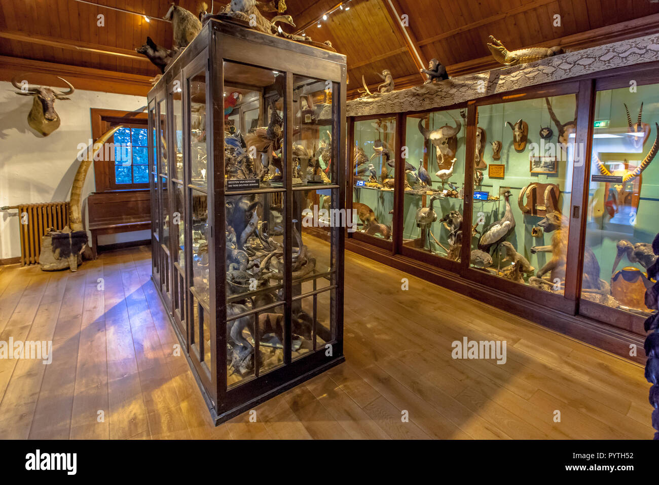 DENEKAMP, NETHERLANDS - JULY 25, 2016: Museum of natural history Natura ...