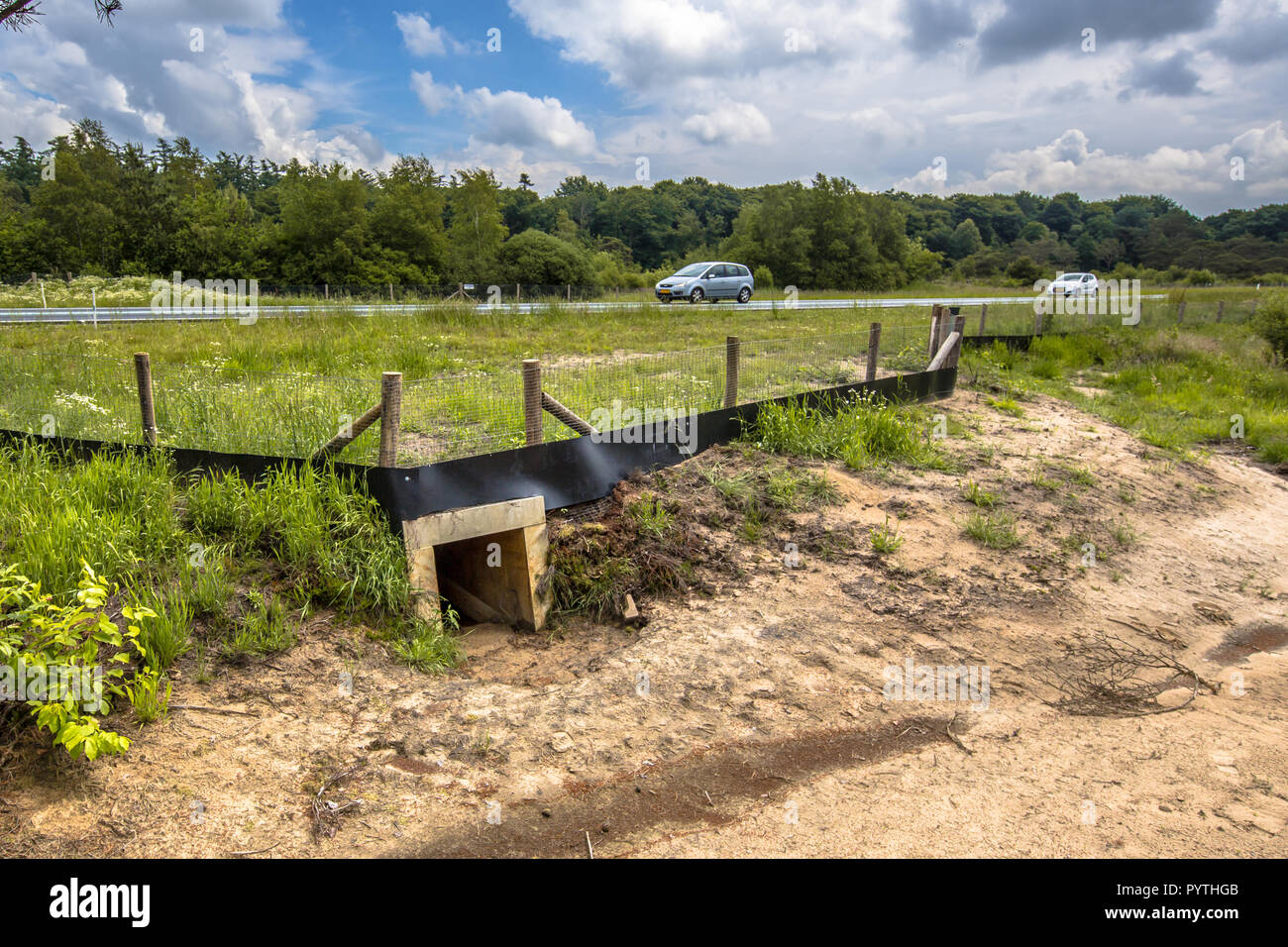 Animal crossing road tunnel hi-res stock photography and images - Alamy